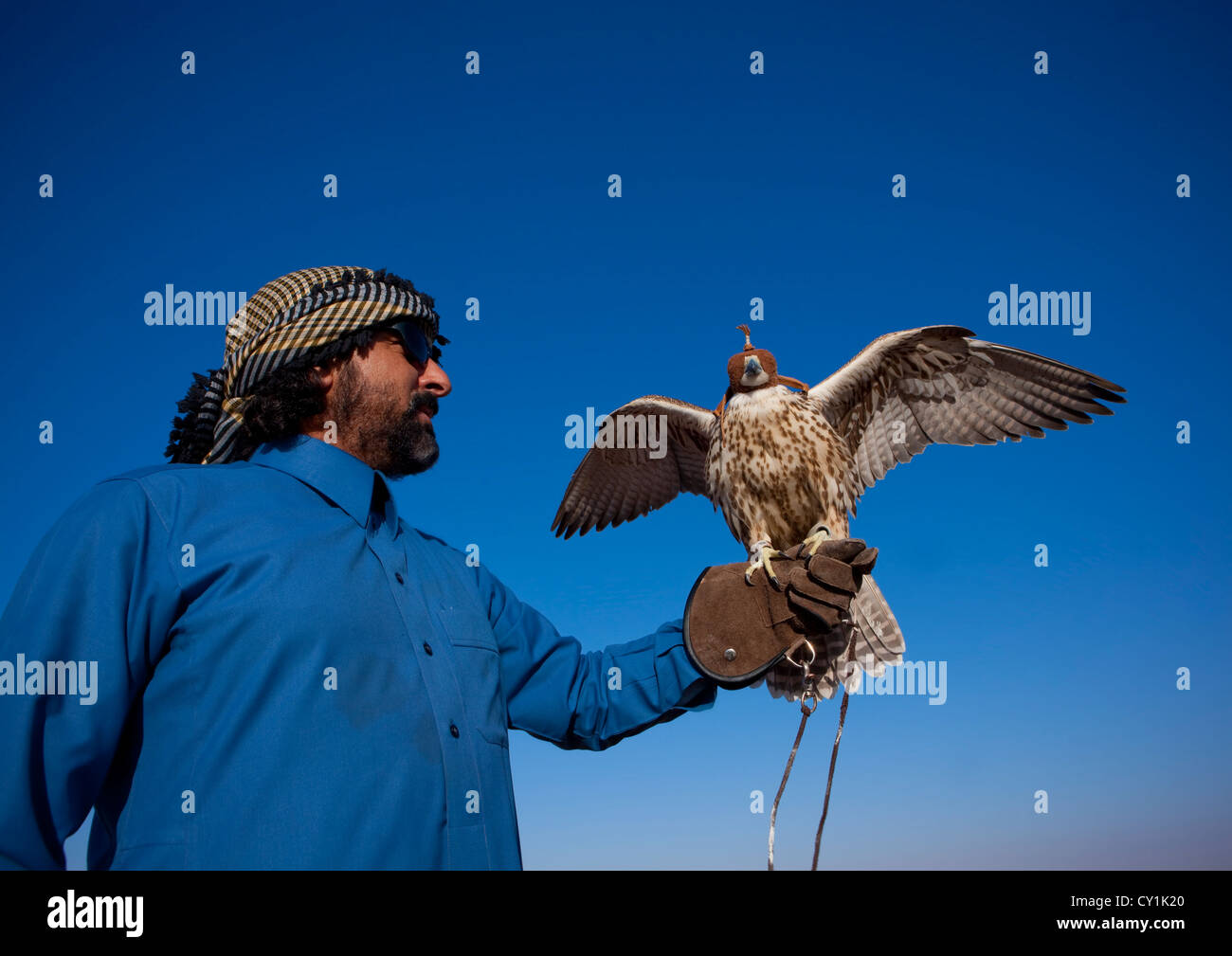 Falconry In Sakakah Area, Saudi Arabia Stock Photo - Alamy