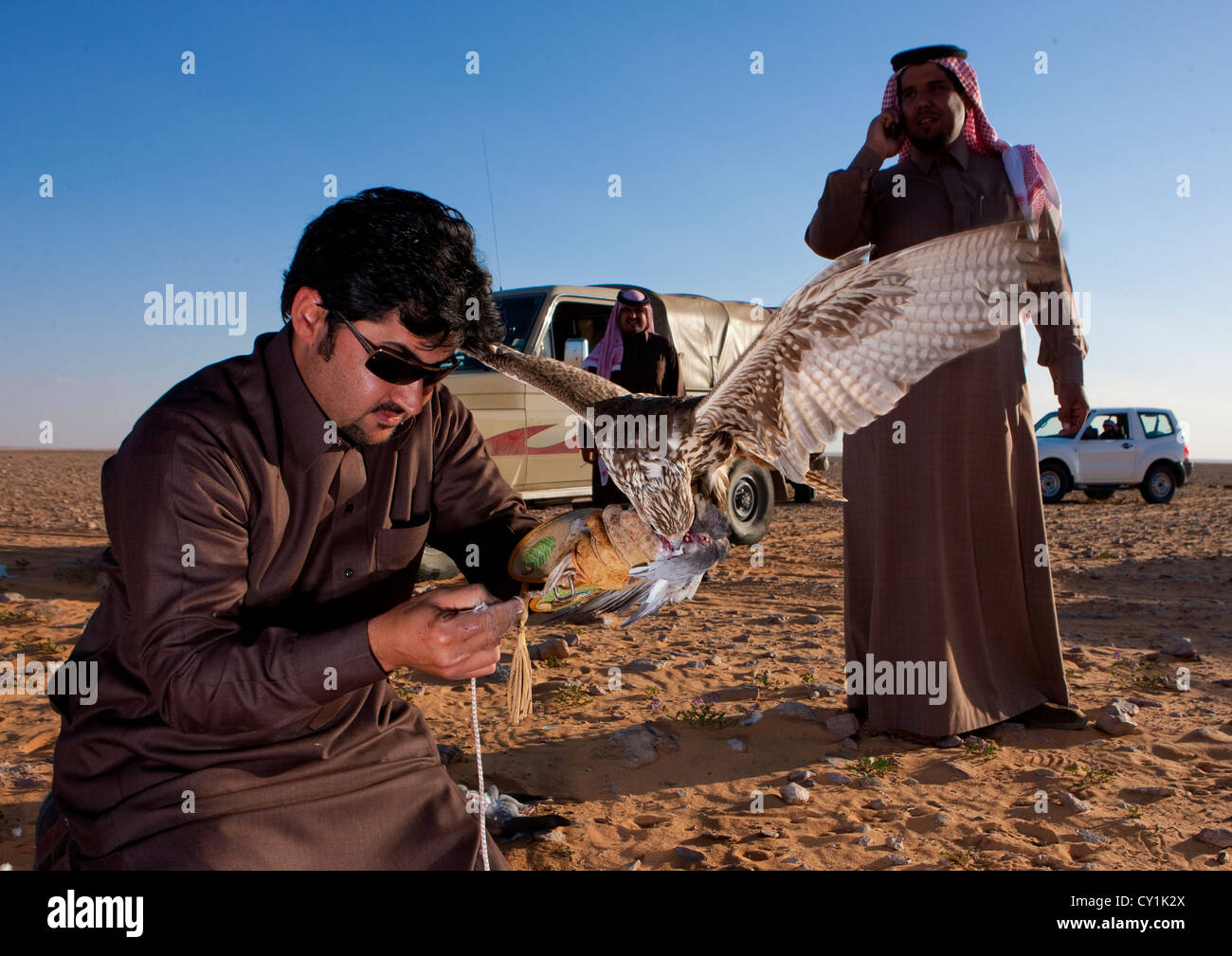 Falconry In Sakakah Area, Saudi Arabia Stock Photo - Alamy