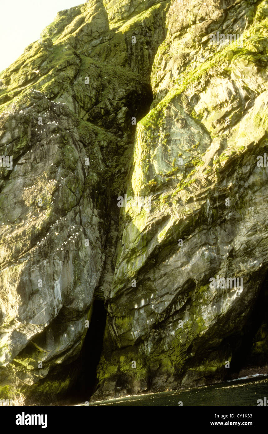 Towering Cliffs,Skies full of Sea birds,Scuba Diving,Seals,Subterranean ...