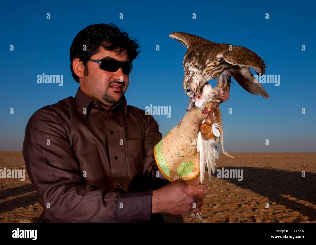 Saudi arabia man with falcon hi-res stock photography and images - Alamy
