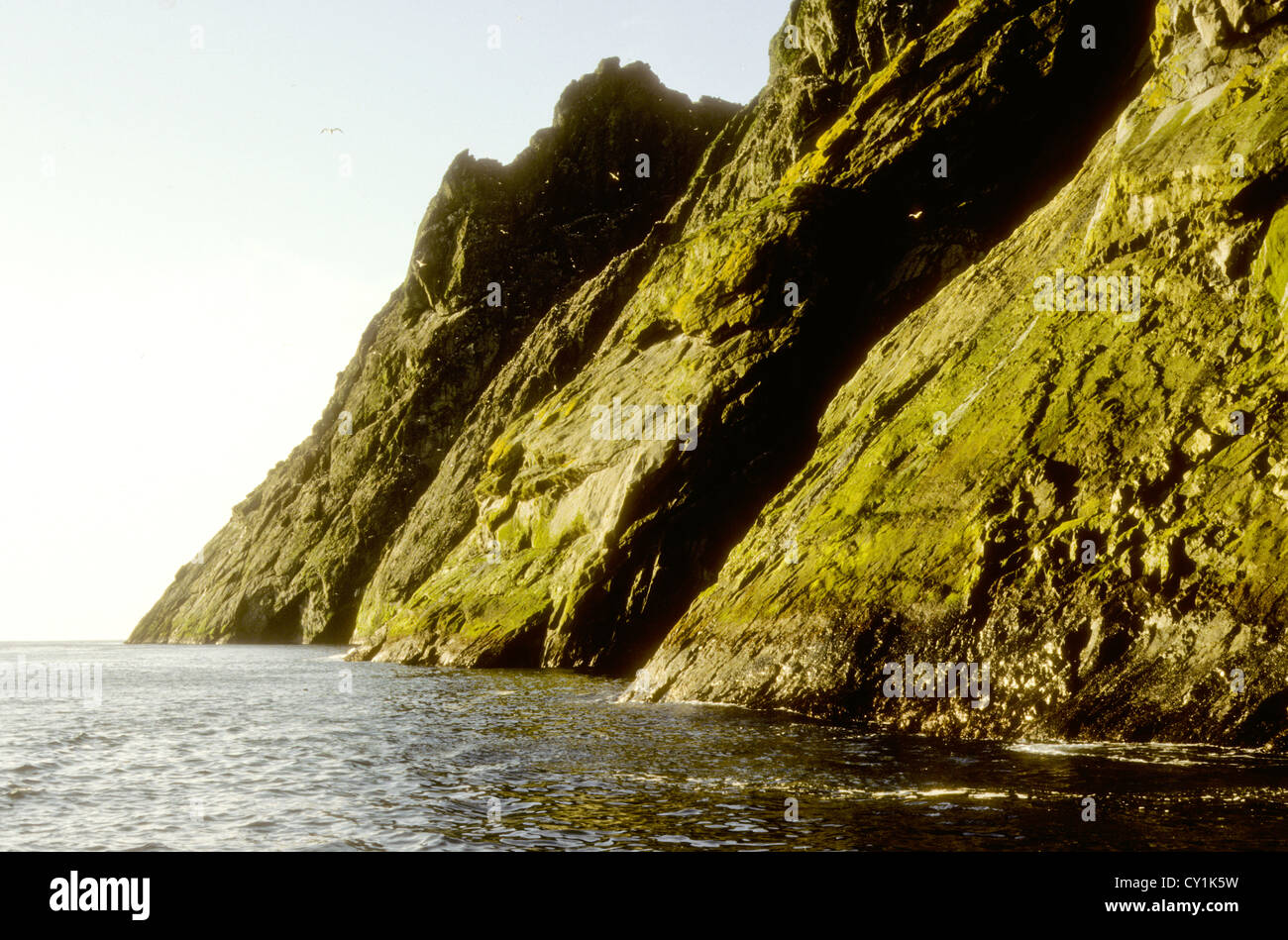 Towering Cliffs,Skies full of Sea birds,Scuba Diving,Seals,Subterranean ...