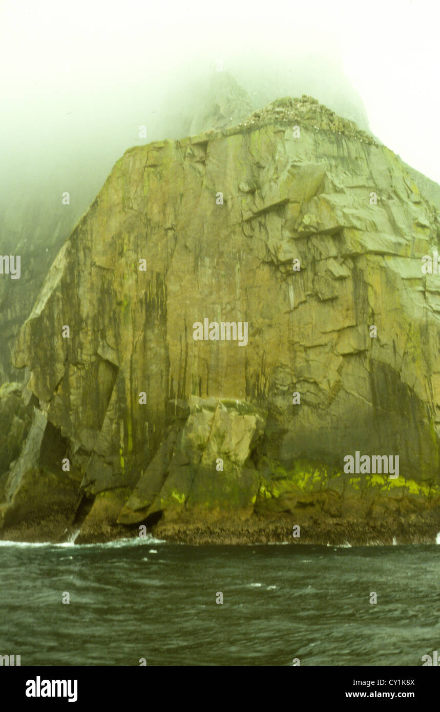 Towering Cliffs,Skies full of Sea birds,Scuba Diving,Seals,Subterranean ...