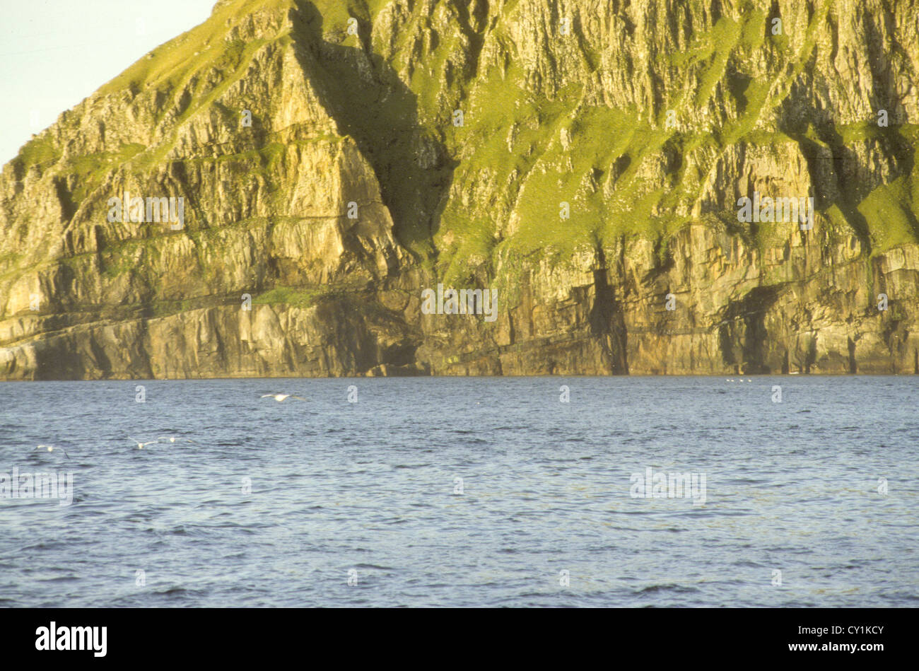 Towering Cliffs,Skies full of Sea birds,Scuba Diving,Seals,Subterranean ...