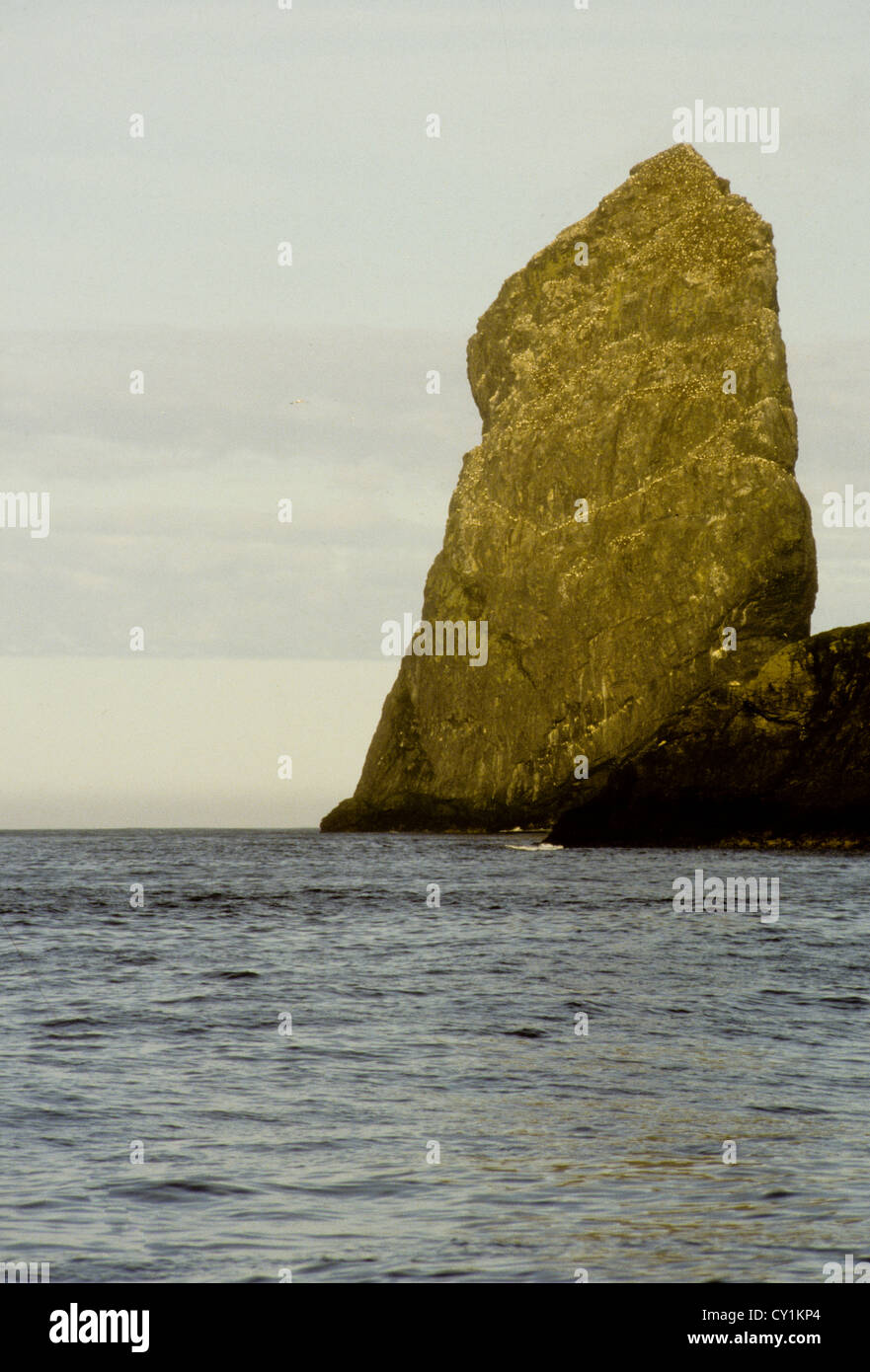 Towering Cliffs,Skies full of Sea birds,Scuba Diving,Seals,Subterranean ...