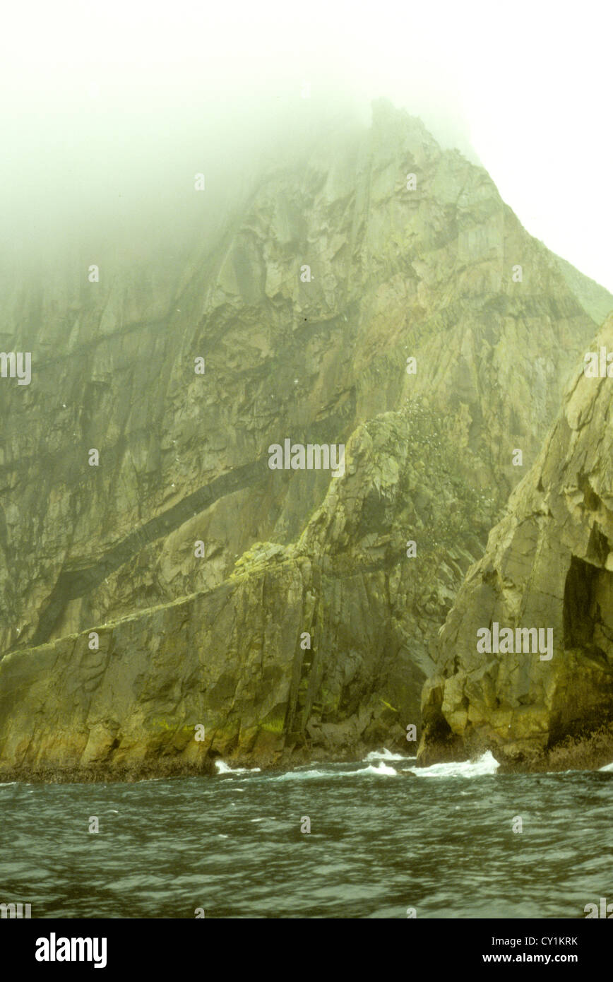 Towering Cliffs,Skies full of Sea birds,Scuba Diving,Seals,Subterranean ...