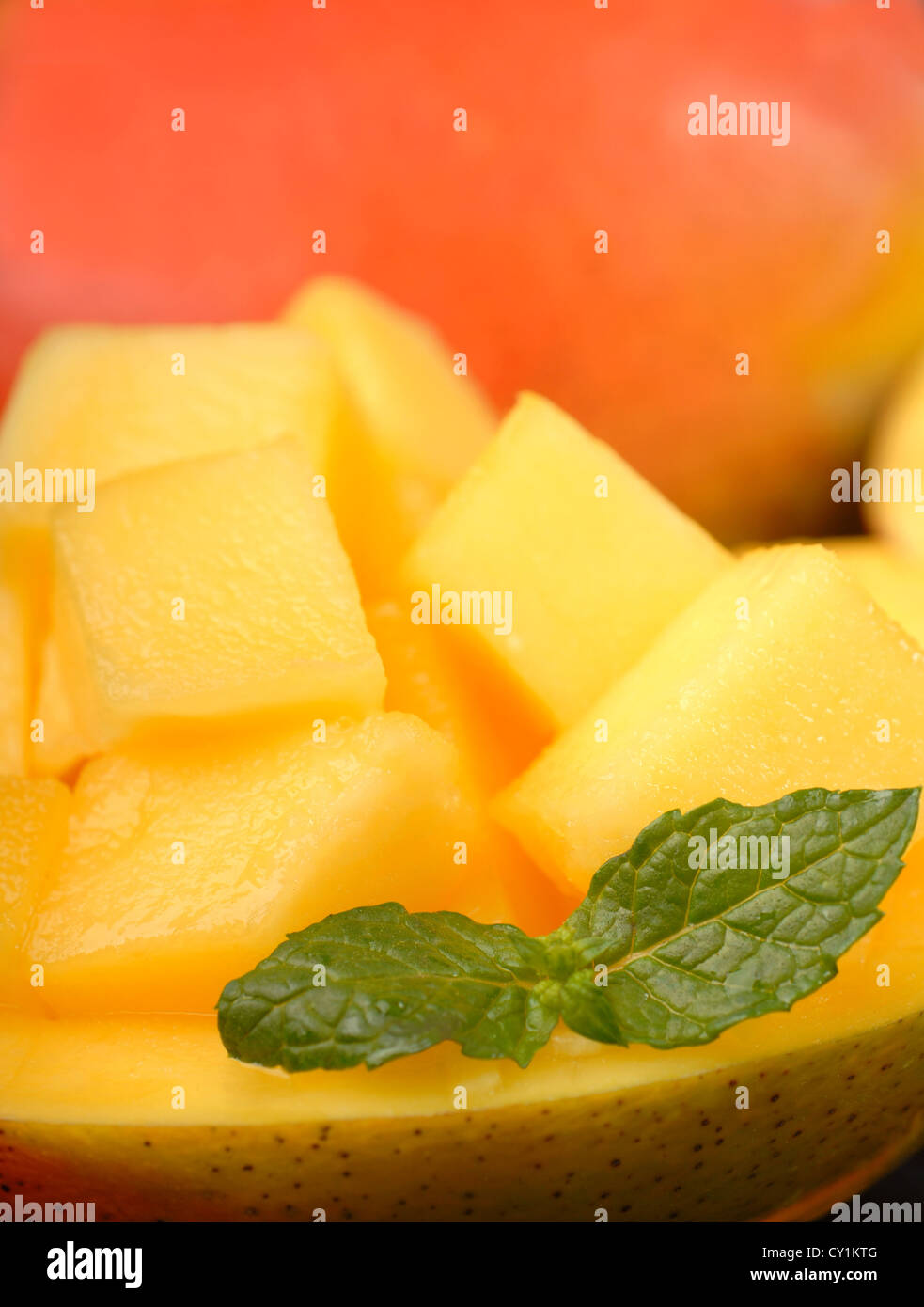 Sweet tropical mango diced and served in its shell with fresh mint ...
