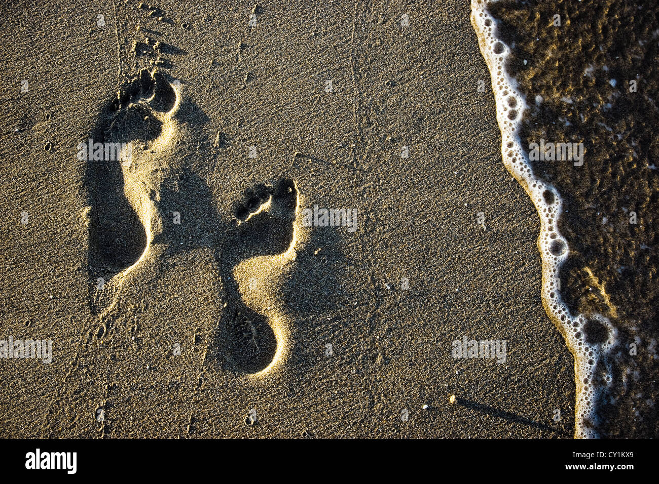 Foot Print Beach High Resolution Stock Photography and Images - Alamy