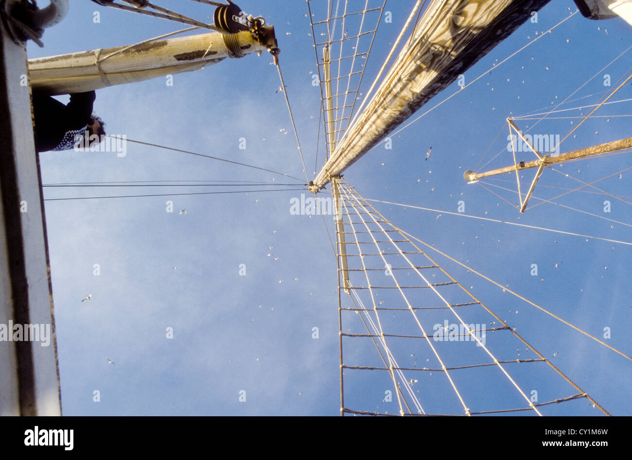 Towering Cliffs,Skies full of Sea birds,Scuba Diving,Seals,Subterranean ...