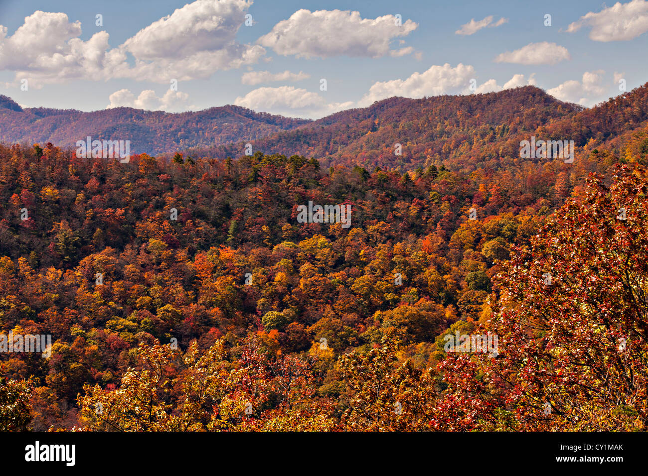 Blue ridge hi-res stock photography and images - Alamy