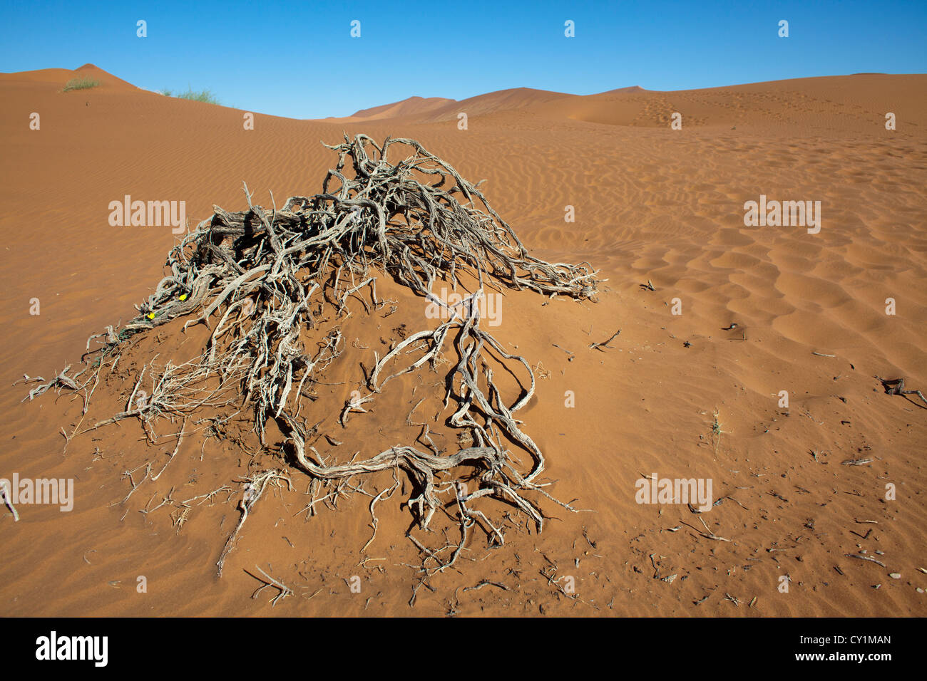 sossusvlei (dead valley) in Namib-Naukluft Park, Namibia Stock Photo ...