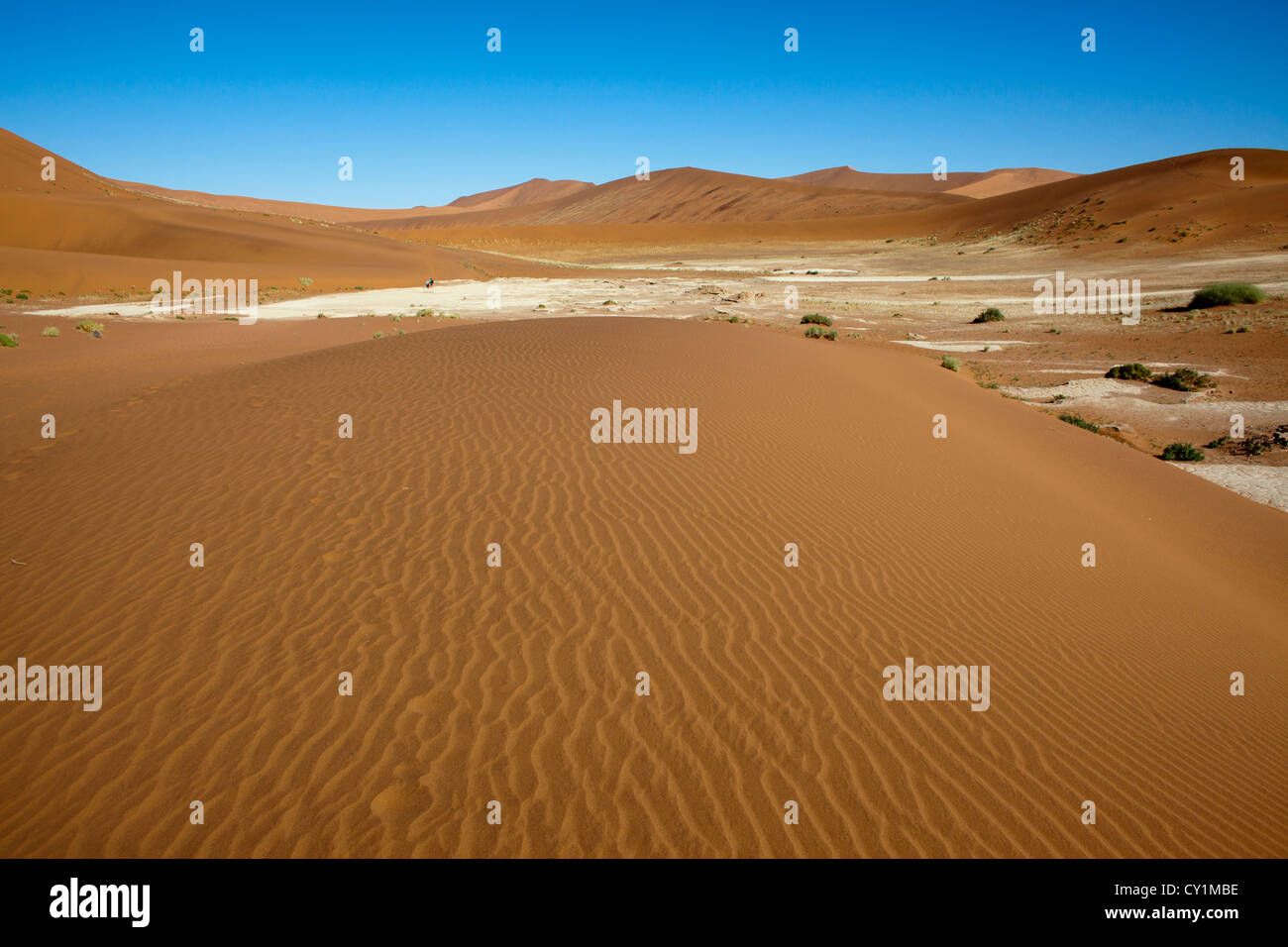 Namib valley hi-res stock photography and images - Alamy