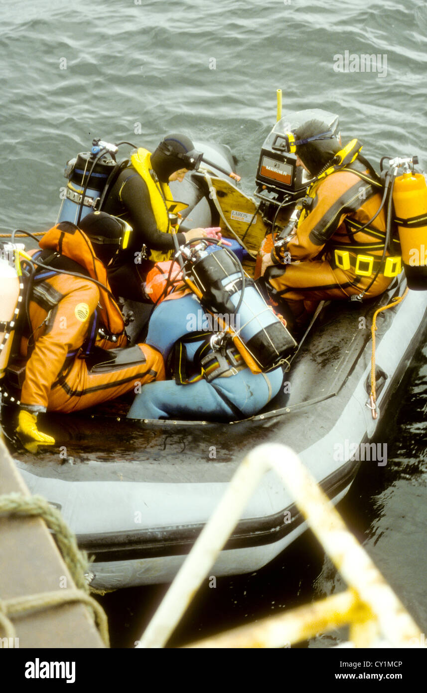 Towering Cliffs,Skies full of Sea birds,Scuba Diving,Seals,Subterranean ...