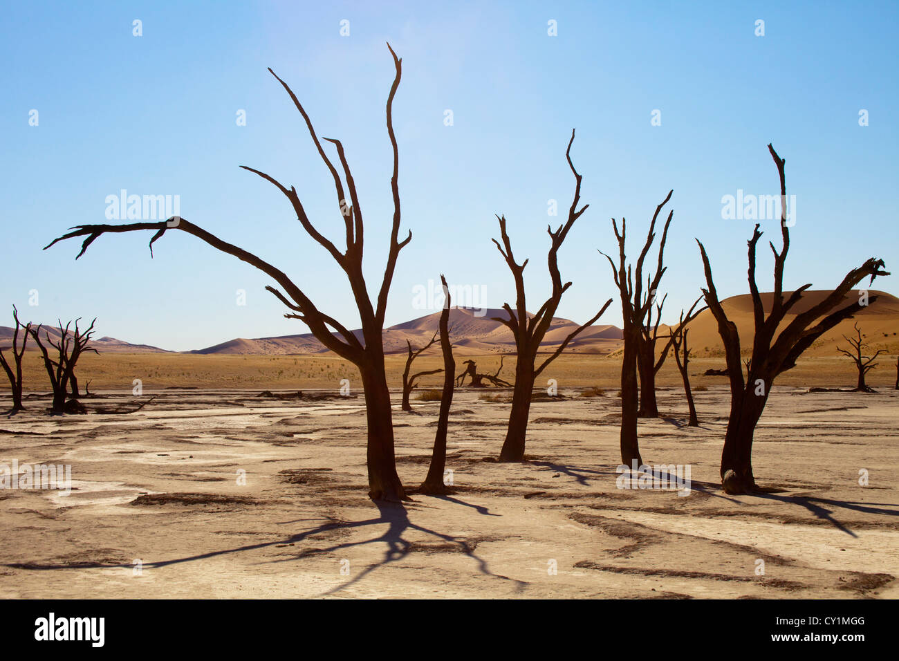 sossusvlei (dead valley) in Namib-Naukluft Park, Namibia Stock Photo ...