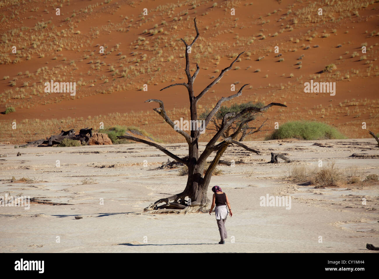 sossusvlei (dead valley) in Namib-Naukluft Park, Namibia Stock Photo ...