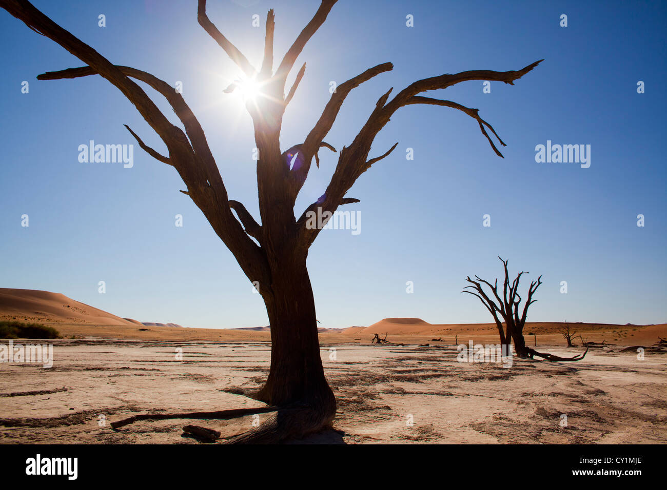 sossusvlei (dead valley) in Namib-Naukluft Park, Namibia Stock Photo ...