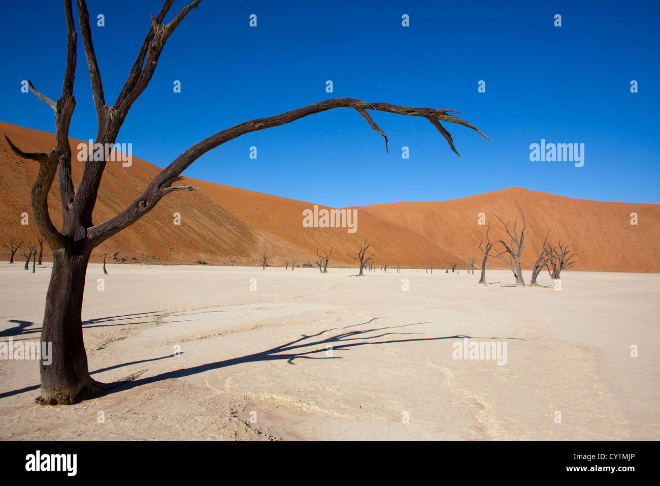 sossusvlei (dead valley) in Namib-Naukluft Park, Namibia Stock Photo ...