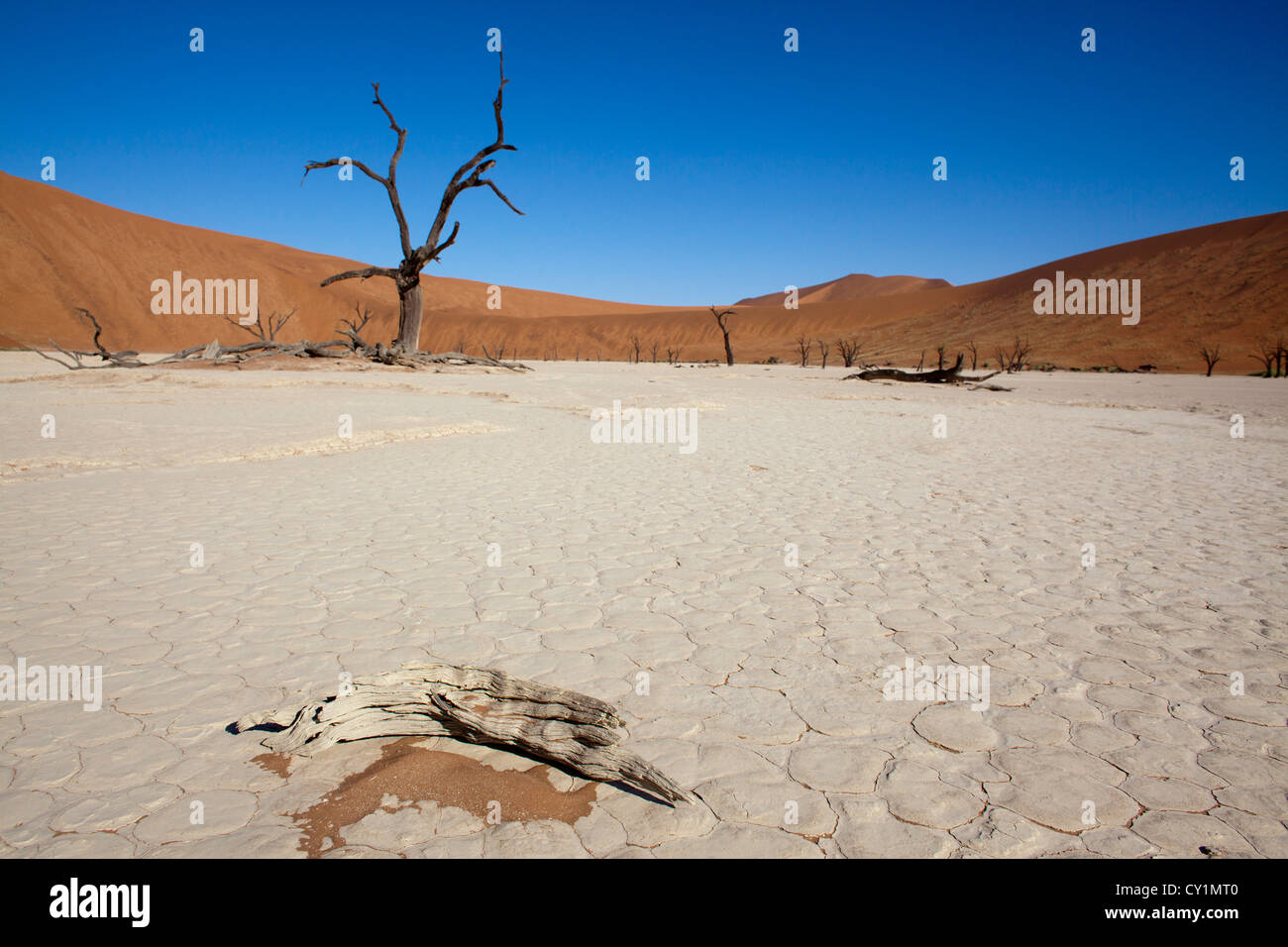 sossusvlei (dead valley) in Namib-Naukluft Park, Namibia Stock Photo ...