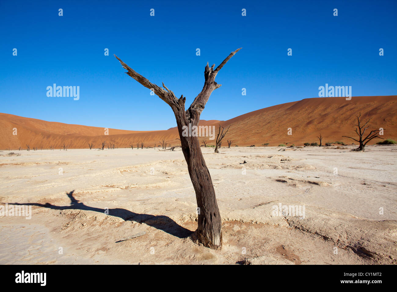 sossusvlei (dead valley) in Namib-Naukluft Park, Namibia Stock Photo ...