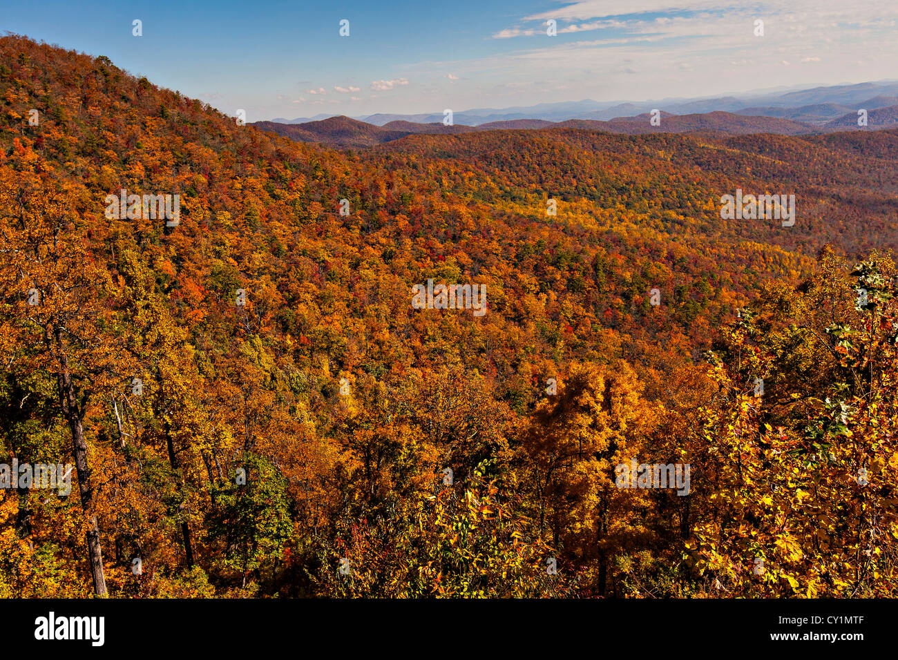 Colorful autumn foliage as leaves change colors along the Blue Ridge ...