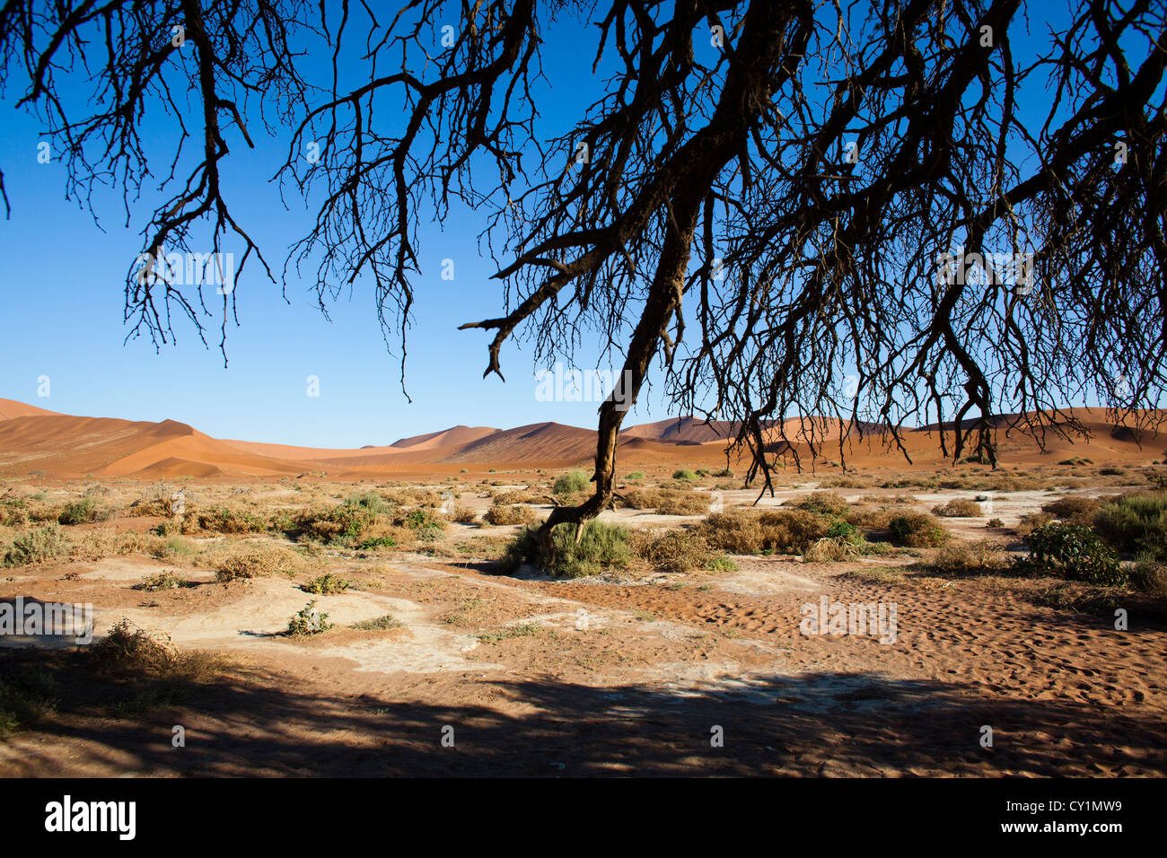 sossusvlei (dead valley) in Namib-Naukluft Park, Namibia Stock Photo ...