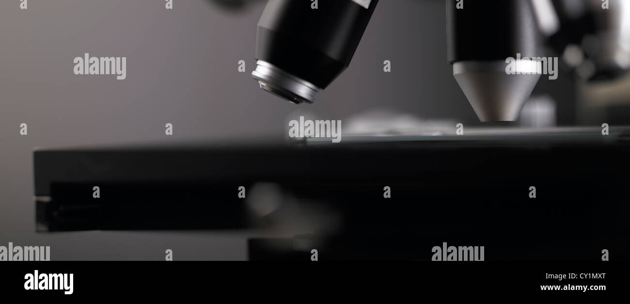 Lenses on the turret of a research microscope with glass slide on stage ...