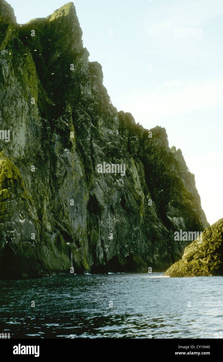 Towering Cliffs,Skies full of Sea birds,Scuba Diving,Seals,Subterranean ...