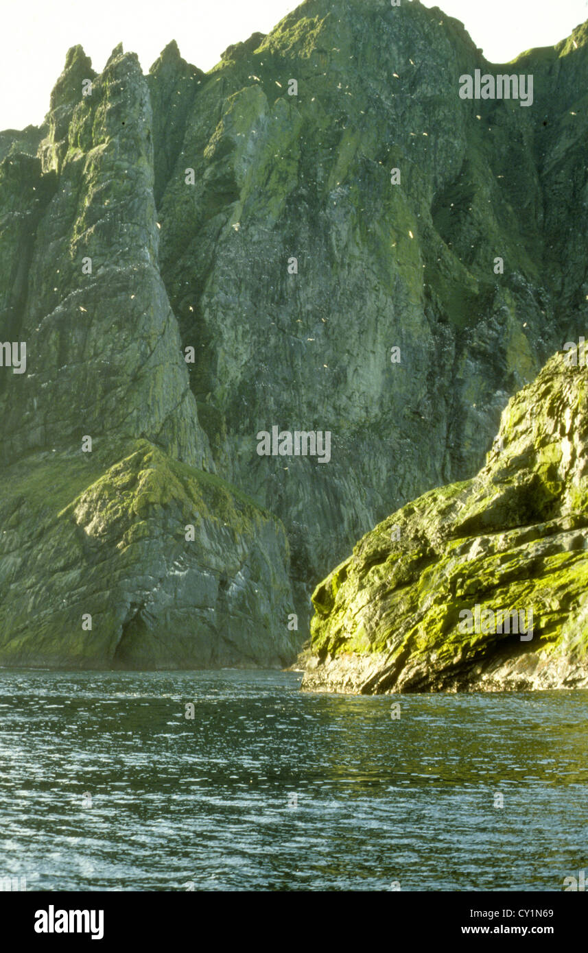 Towering Cliffs,Skies full of Sea birds,Scuba Diving,Seals,Subterranean ...