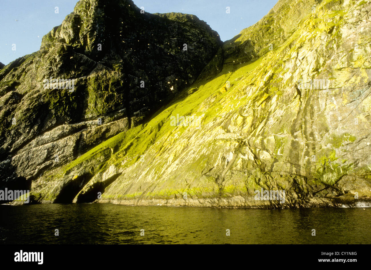 Towering Cliffs,Skies full of Sea birds,Scuba Diving,Seals,Subterranean ...