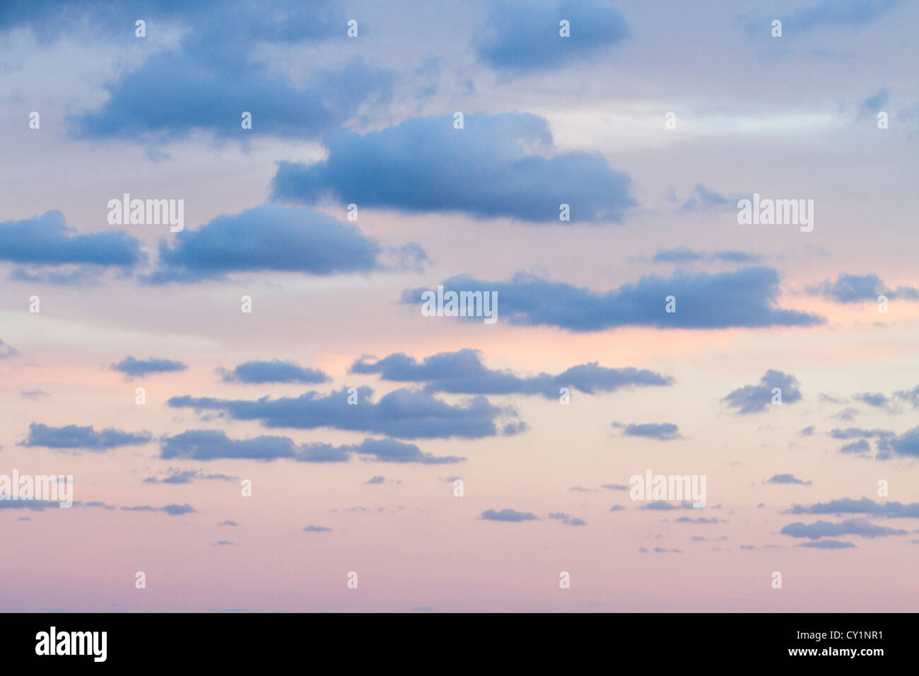 Light pink sunset hi-res stock photography and images - Alamy