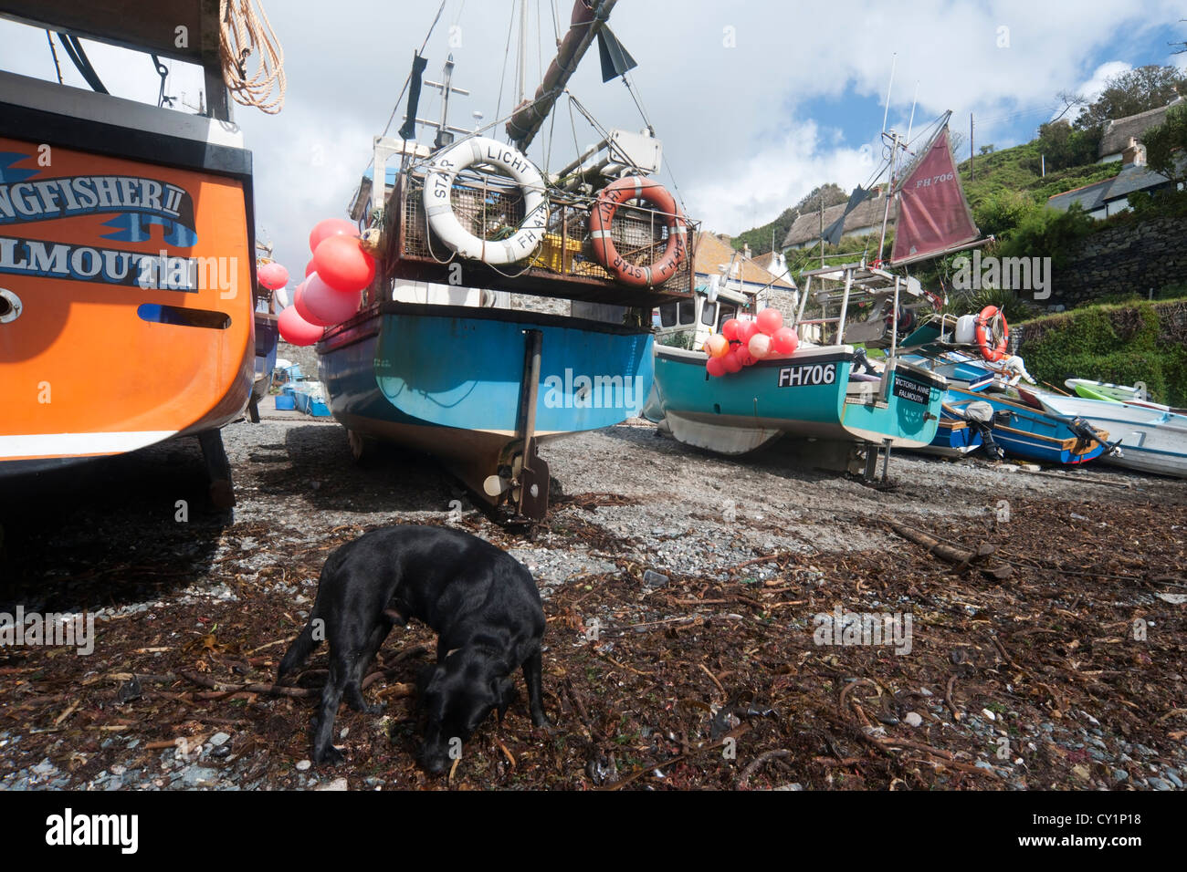 Fishing boats above the high water line at Cadgwith Cove, Lizard ...