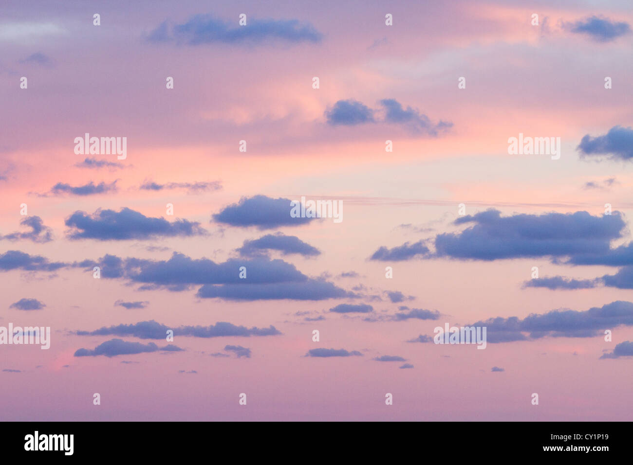 sky clouds mist soft pastel light colors pink skies dusk sunset Stock ...