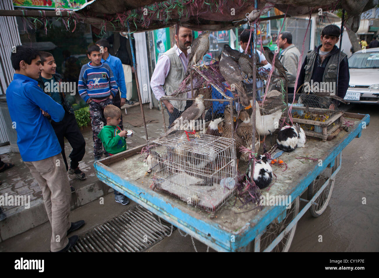 Selling animals hi-res stock photography and images - Alamy