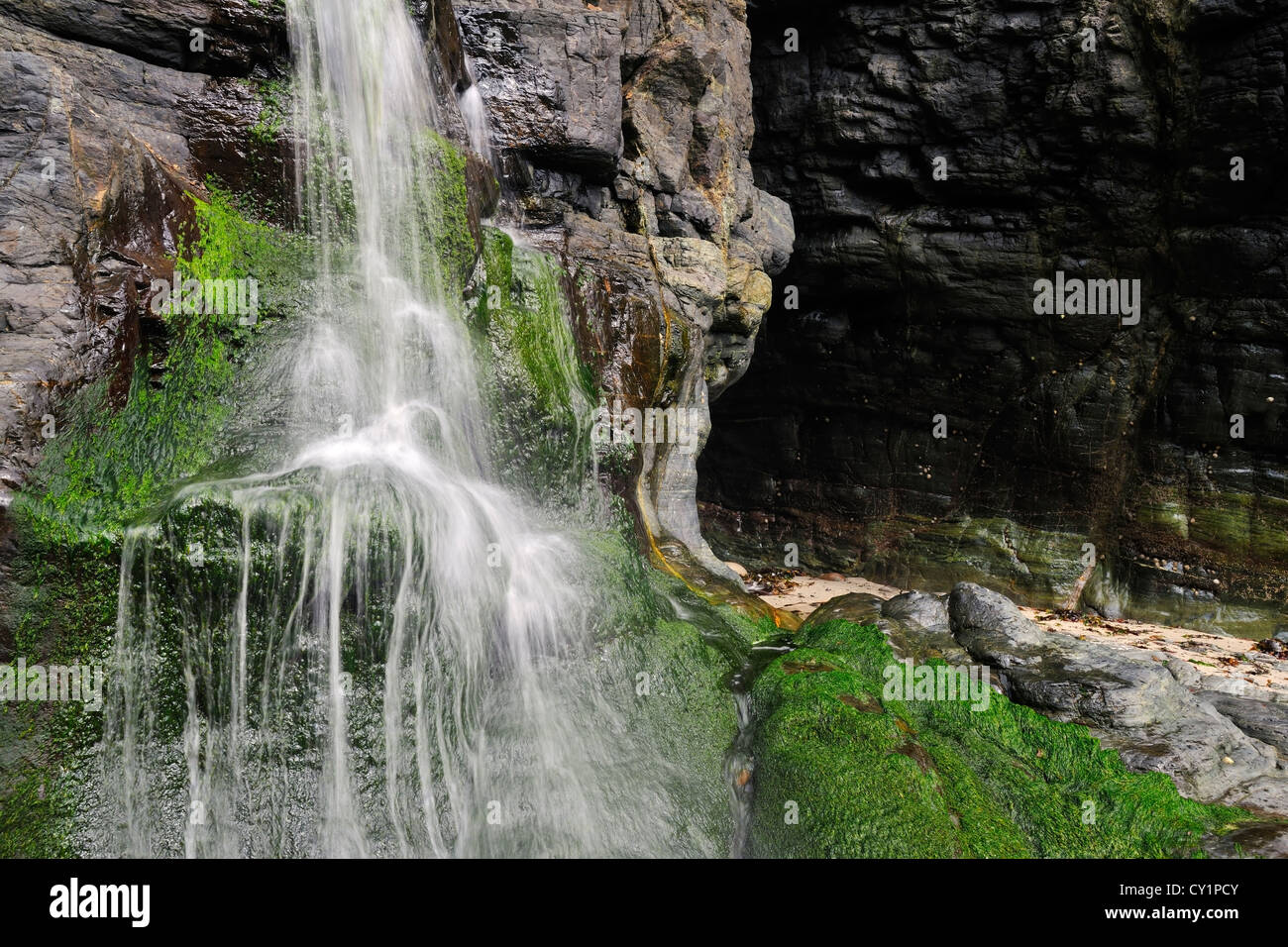 Waterfall adjacent to a cave entrance at Church Cove, Lizard Peninsula ...