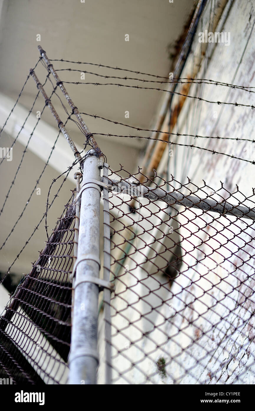 Best Barbed Wire Fencing