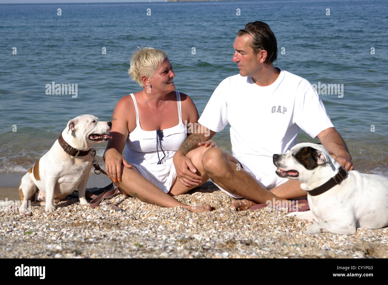 Woman bull terrier in hi-res stock photography and images - Alamy