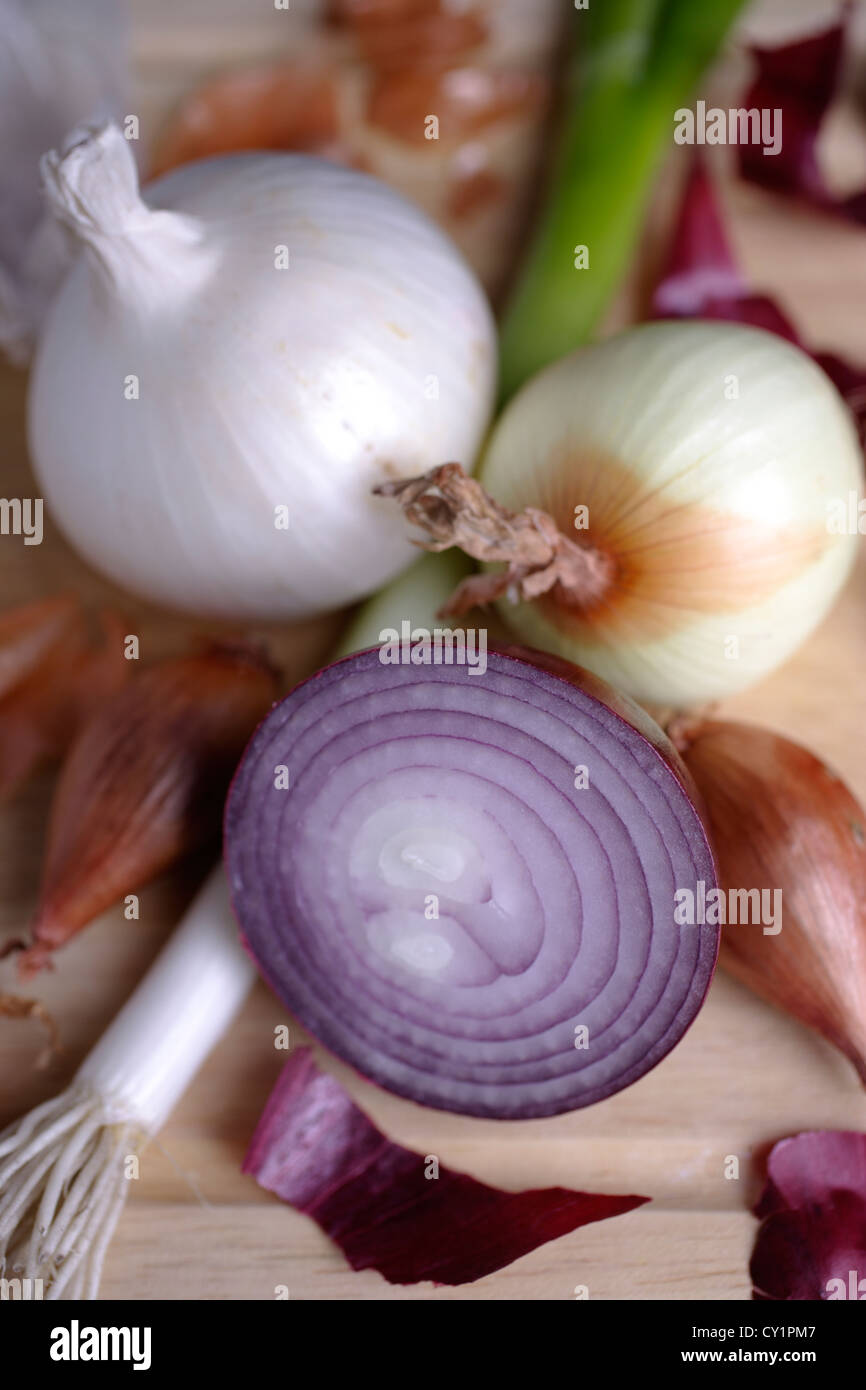 Allium onion image picture hi-res stock photography and images - Alamy