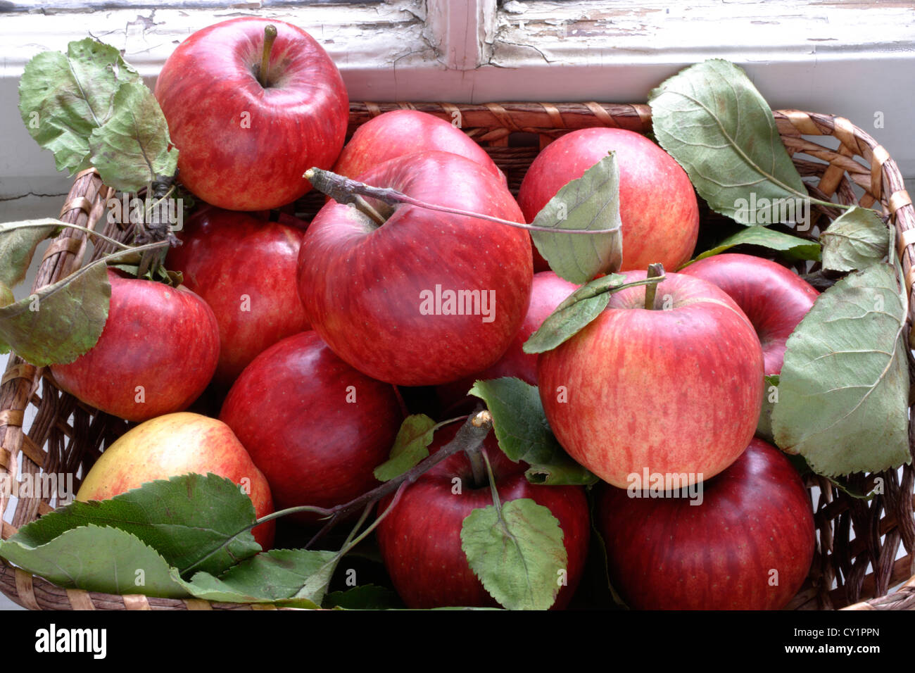 apples in basket Stock Photo - Alamy