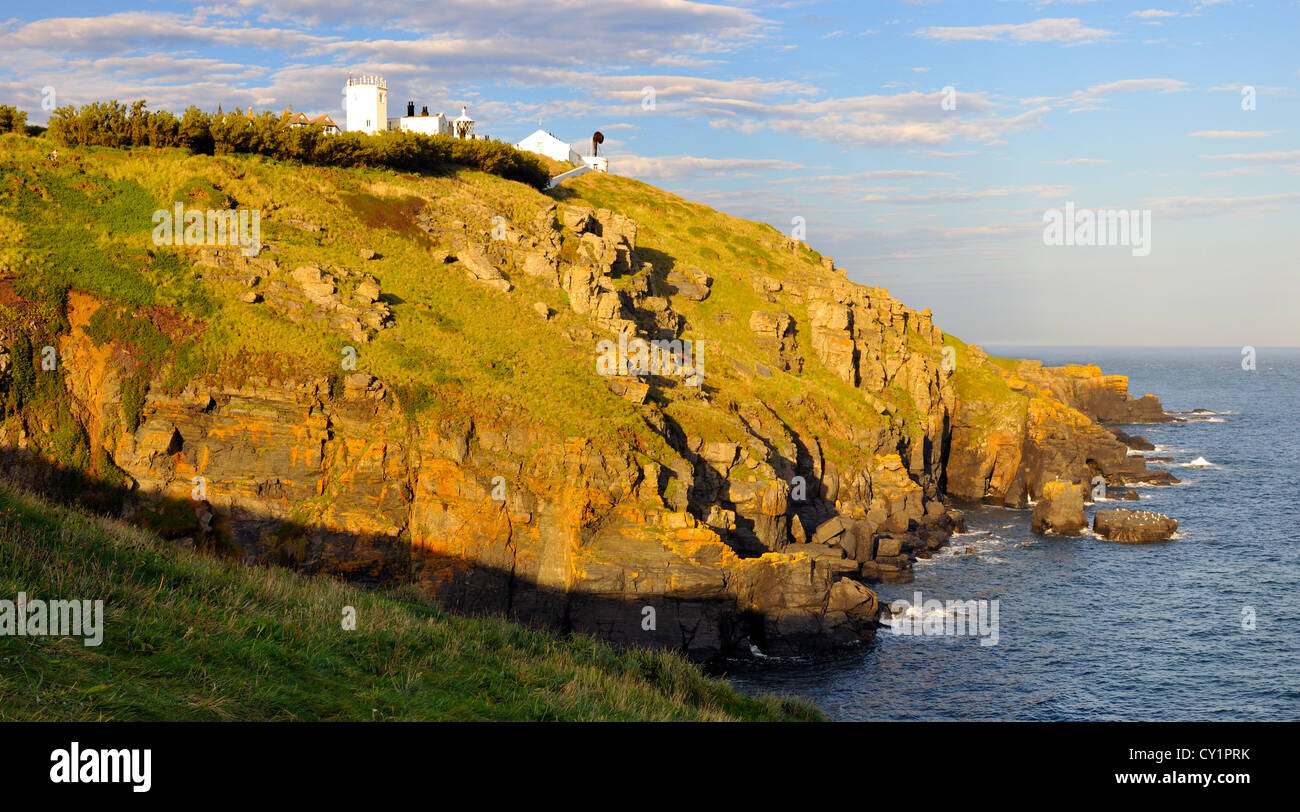 Evening light on the Lizard Point in Cornwall, England Stock Photo - Alamy