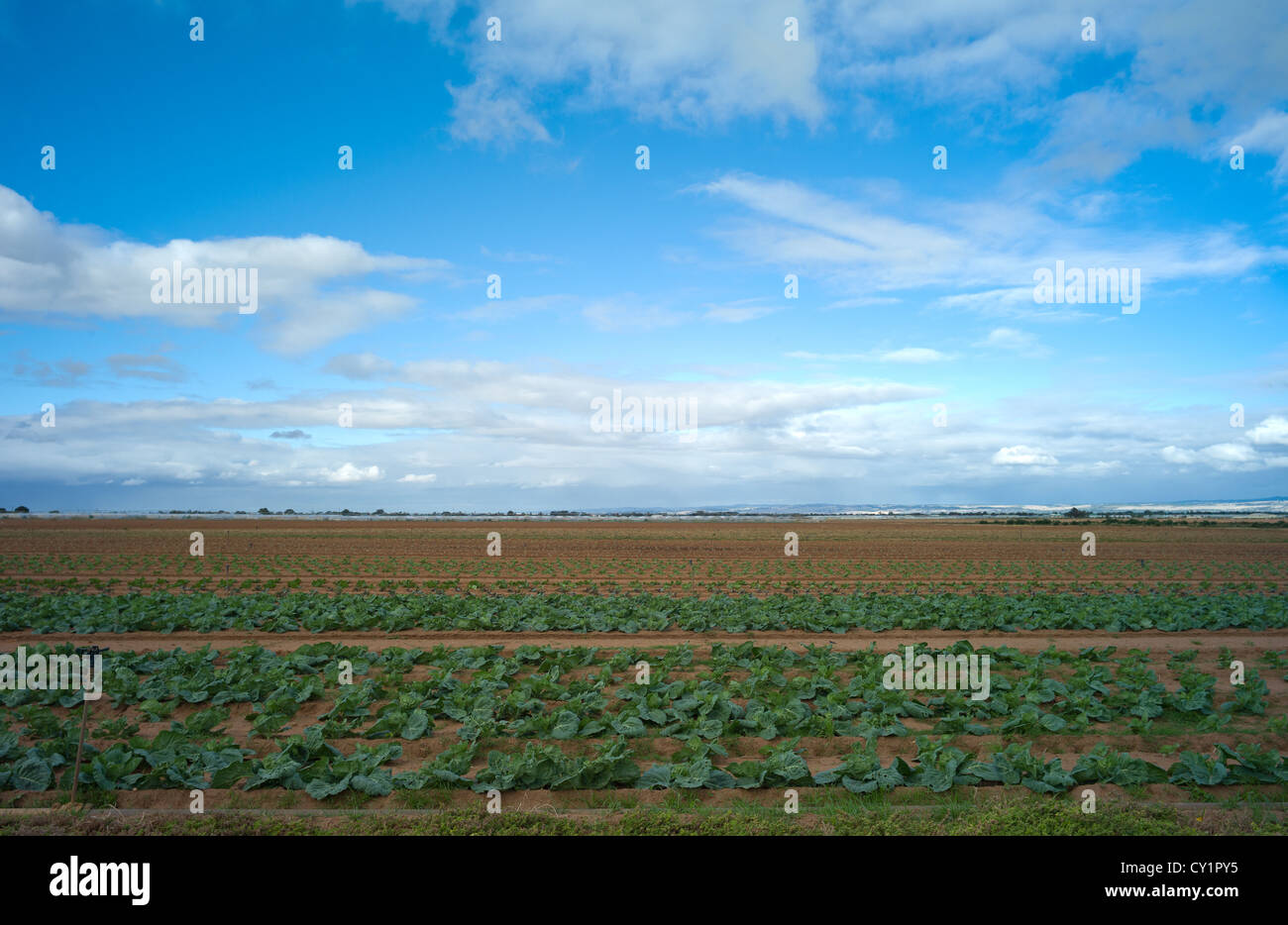 small goods adelaide central market stall food Stock Photo - Alamy
