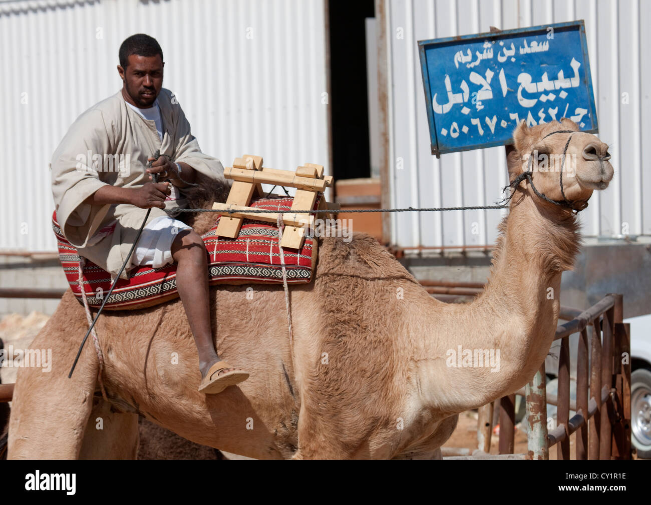 Camel Market In Riyad, Saudi Arabia Stock Photo - Alamy