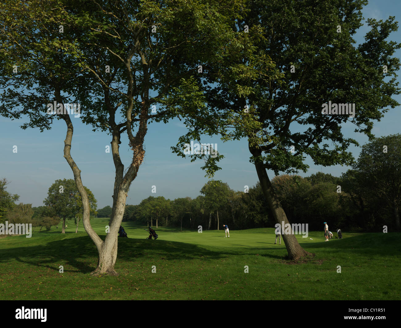 Surrey downs golf course hi-res stock photography and images - Alamy