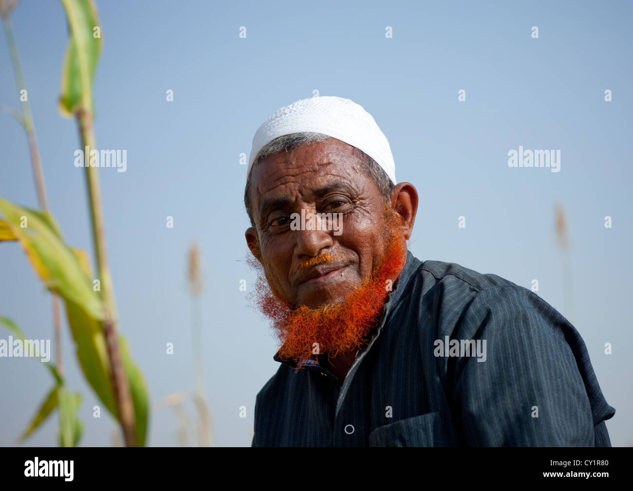Red Beard Man On Tihama Cosat, Saudi Arabia Stock Photo - Alamy