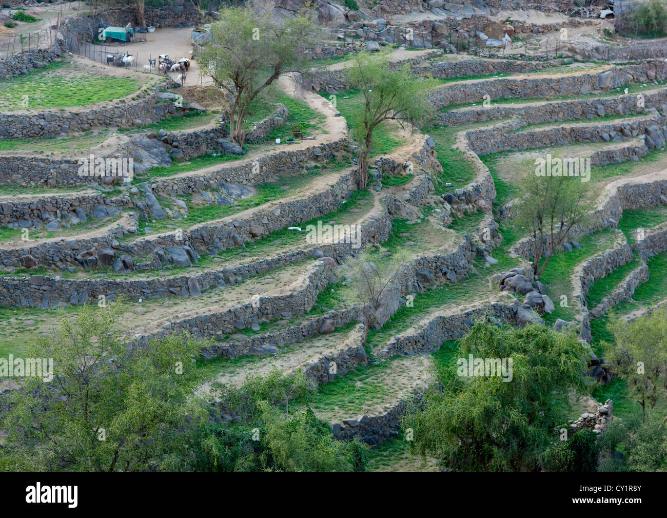 Faifa mountains hi-res stock photography and images - Alamy
