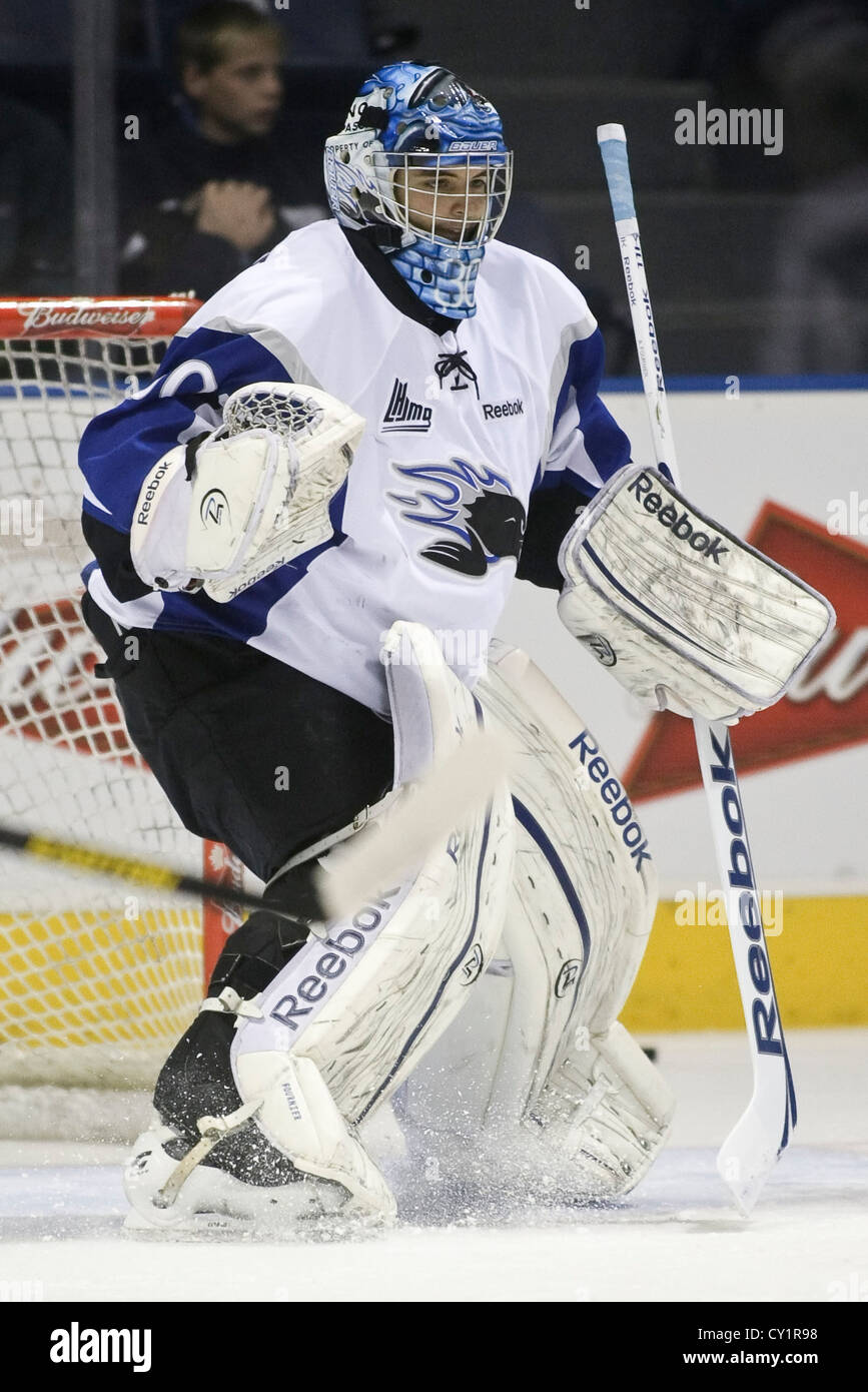 QMJHL (LHJMQ) hockey profile photo on Saint John Sea Dogs Alex Fournier ...