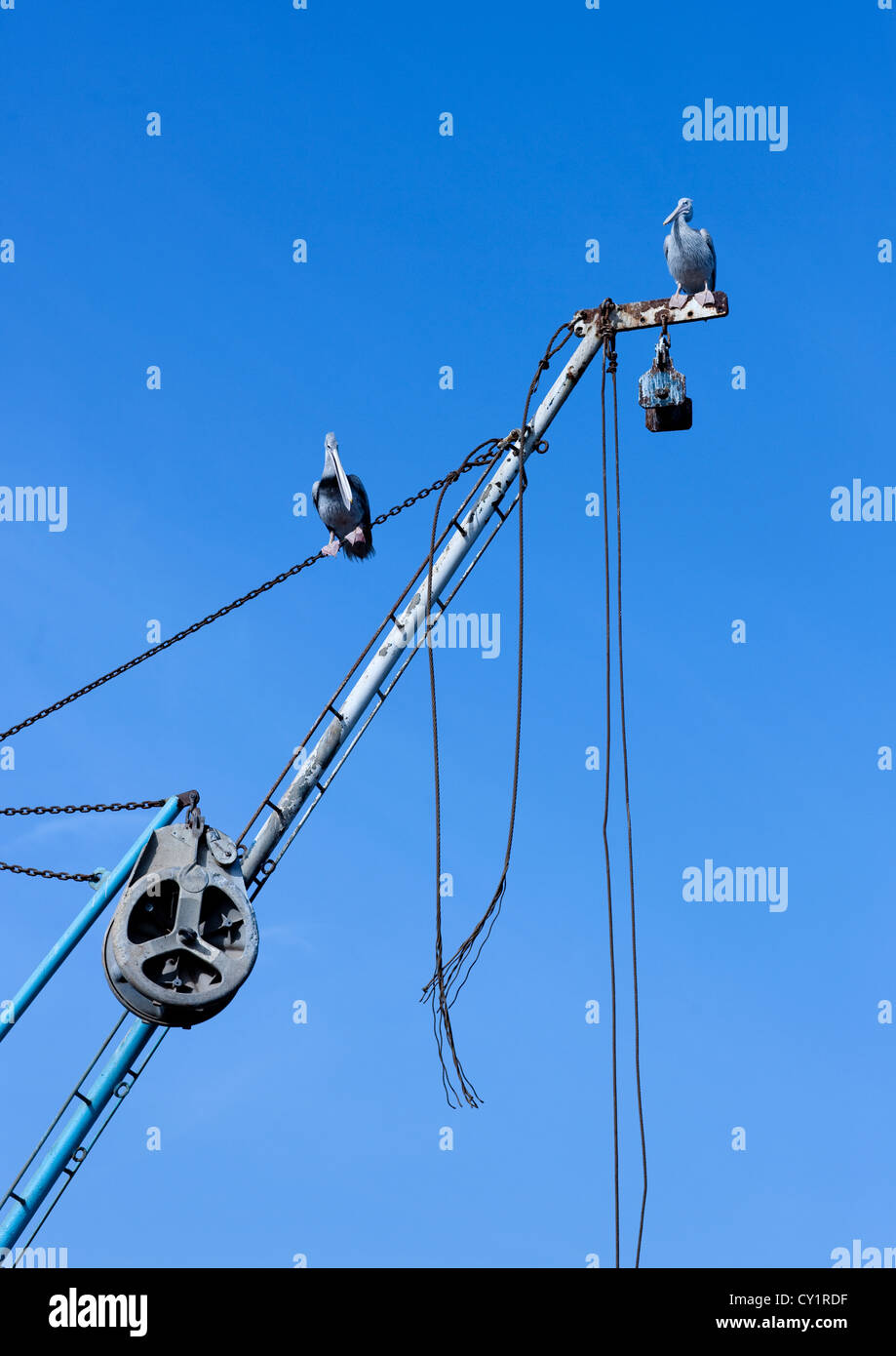 Jizan Port, Saudi Arabia Stock Photo - Alamy