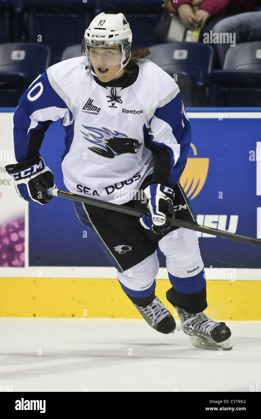 Saint John Sea Dogs High Resolution Stock Photography and Images - Alamy