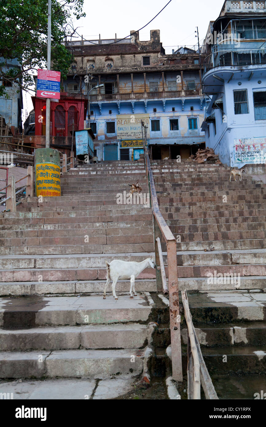 Typical Stairways at the Ghats on the Riverbanks of the Ganges in ...