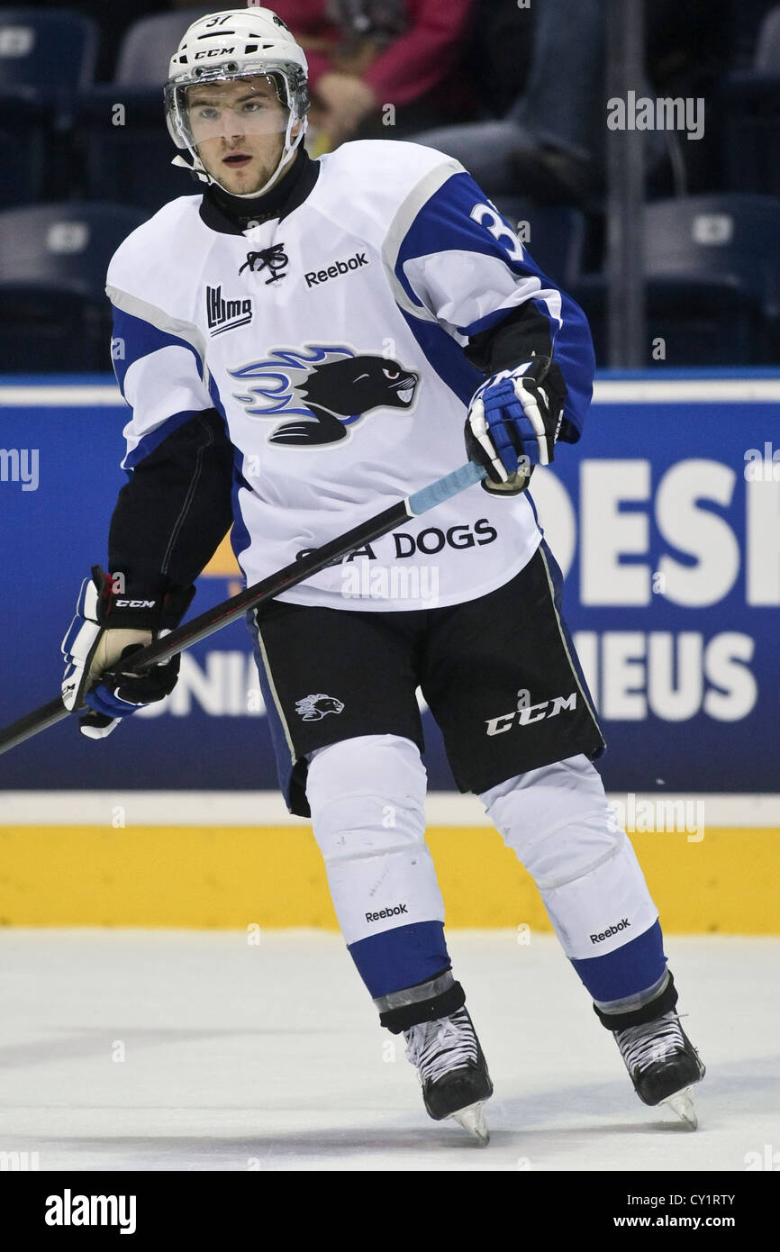 Saint John Sea Dogs High Resolution Stock Photography and Images - Alamy