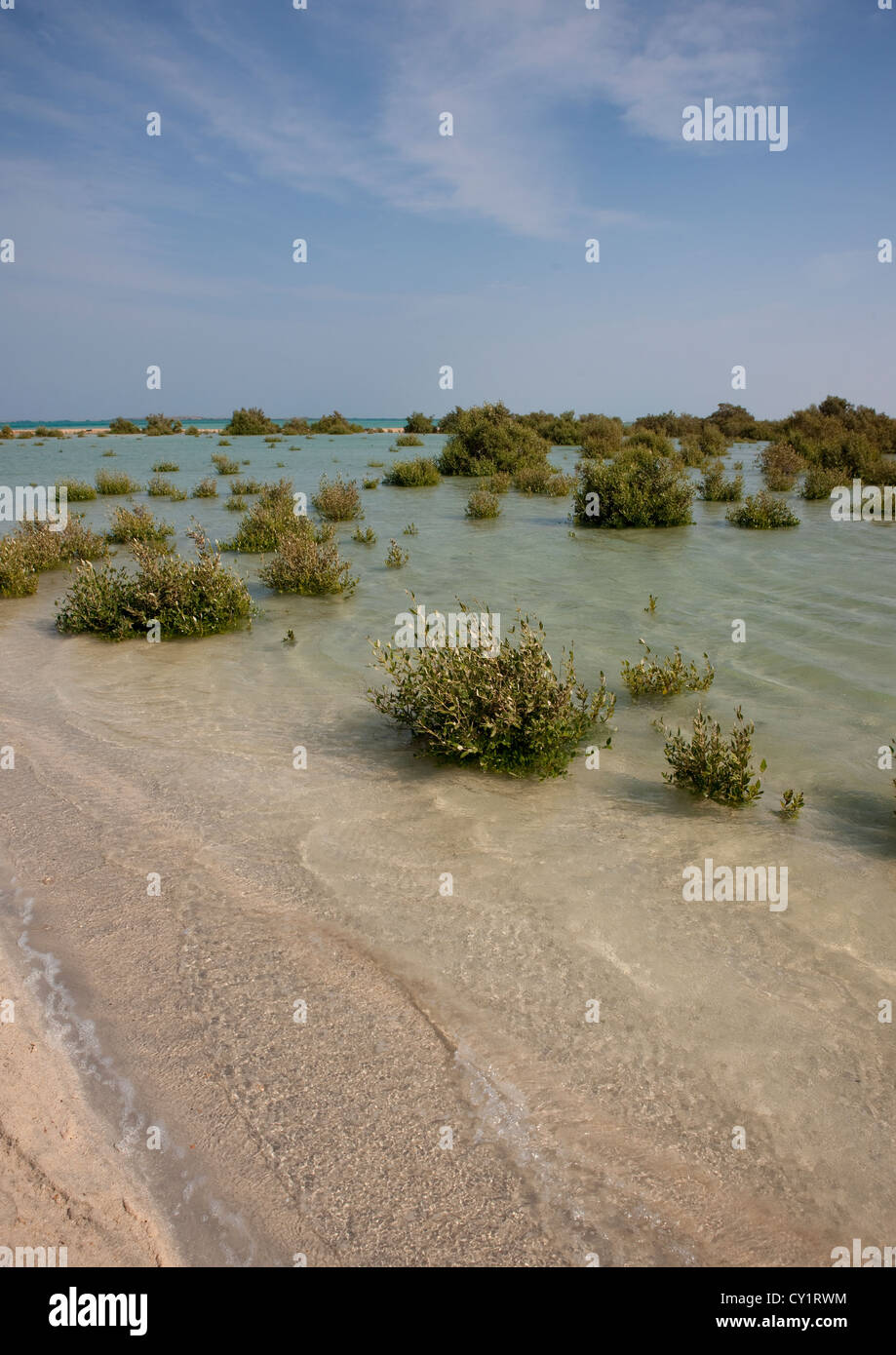 Pollution In Farasan Island, Saudi Arabia Stock Photo - Alamy