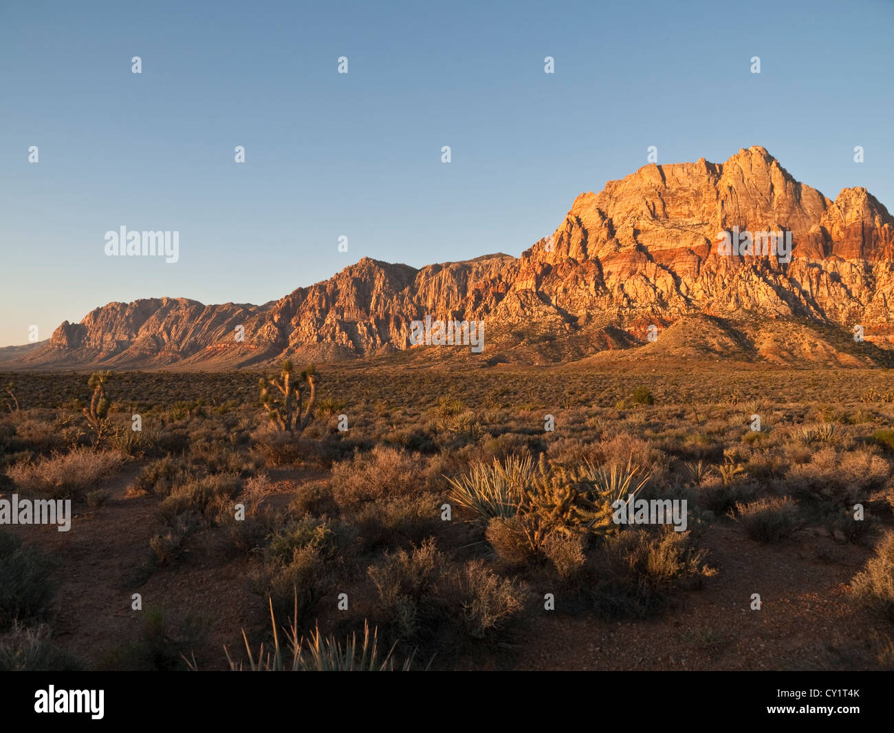Dawn light on Mt. Wilson at Nevada's Red Rock national Conservation ...